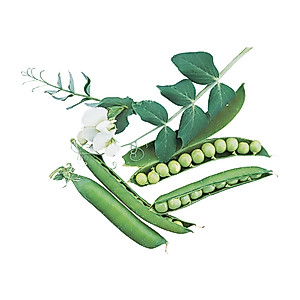 Burpee Garden Sweet Pea Seeds 200 seeds