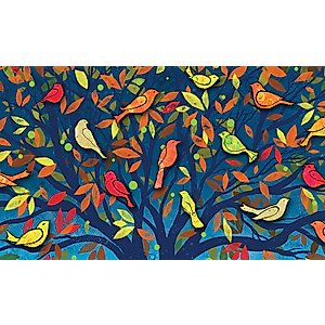 Toland Home Garden 800435 Colorful Birds Bird Door Mat 18x30 Inch Fall Outdoor Doormat for Entryway Indoor Entrance