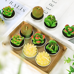 SCENTORINI Tealight Candles, 12 Pack Cactus Candles, Cute Tealight Candles for Christmas Decorations, Mini Delicate Candles, Unscented Candles Gift for Birthday Party Wedding Home Decor