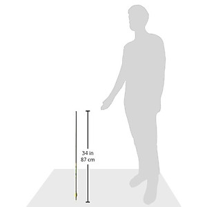 Gold Tip Hunter XT Arrows with Raptor Vane (Pack of 6), Black, 300