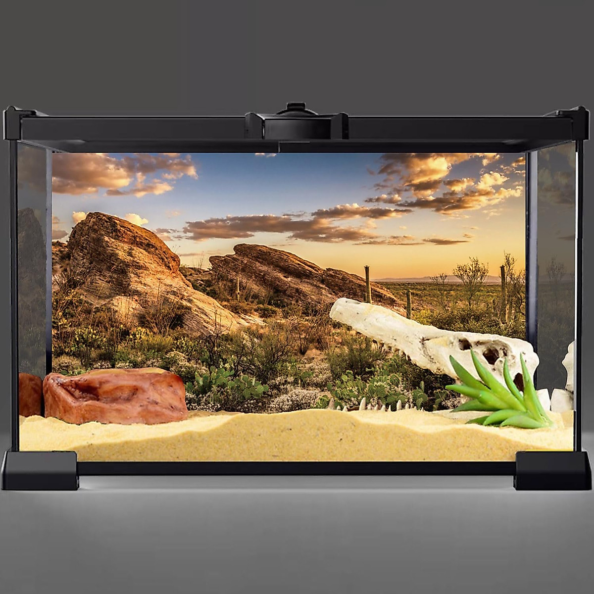 AWERT Reptile Habitat Background Blue Sky Oasis Cactus Sun and Desert Terrarium Background 30x12 inches Polyester Background