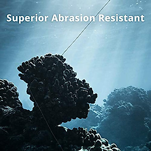 Calamus Bastion Braided Fishing Line, Moss Green, 300 Yds, 10 LB (4 Strands)