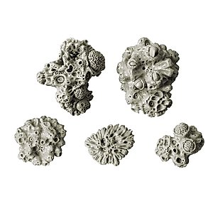 Spellcrow 28mm Conversion Bits: Plague Marks vs 2