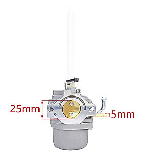 HOOAI 796122 Carburetor for Briggs & Stratton 794593 696737 793161 Ariens MTD Cub Cadet Snowblower Snowthrower Tractor Carburetor