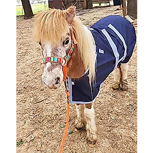 CHALLENGER 38" 1200D Lightweight Miniature Weanling Donkey Pony Foal Horse Sheet 51502