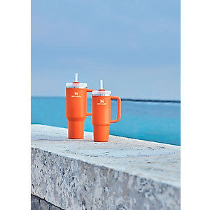 Stanley Quencher H2.0 FlowState Stainless Steel Vacuum Insulated Tumbler with Lid and Straw for Water, Iced Tea or Coffee, Smoothie and More, Tigerlily, 30 oz