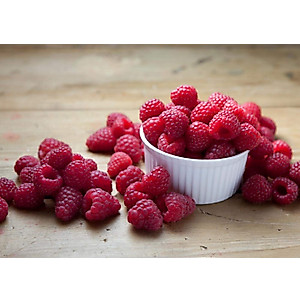 Snapple Diet Raspberry Tea, 20 Fl Oz (Pack of 24)