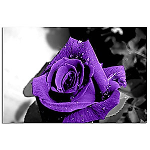 AFLE Purple Rose Poster,Black And White With,Canvas Wall Art For Living Room Decor Aesthetic Vintage Posters & Prints Dorm Poster Girl Wall Decor Canvas Paintings Wall Art Wall,12x18 inches,Unframed