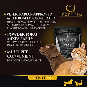Lexelium Life-Optim Terminal Illness Support Blend for Dogs and Cats | 100% Natural Supplement Powder | Designed to Extend and Improve Quality of Life | 200 Gram Powder Bag