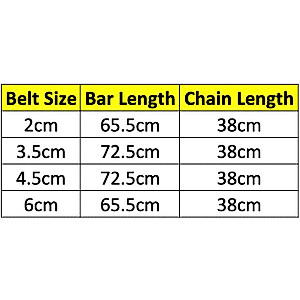 Live It Style It Womens Metal Waist Belt Mirror Wide Gold Silver Full Plate Waistband Chains, Gold, 3.5cm