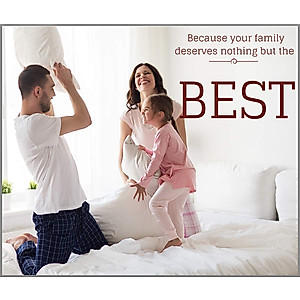 Luxury Hotel Bedding 800 Thread Count Giza Cotton Sateen 3Pc Duvet Cover Set with Hidden Zipper Closer -(King XL 116x98 Inch - Chocolate Stripe)