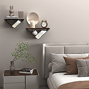 EXYGLO Triangle Floating Wall Mounted Shelves for Plants Storage Bathroom Bedroom Living Room, Set of 2