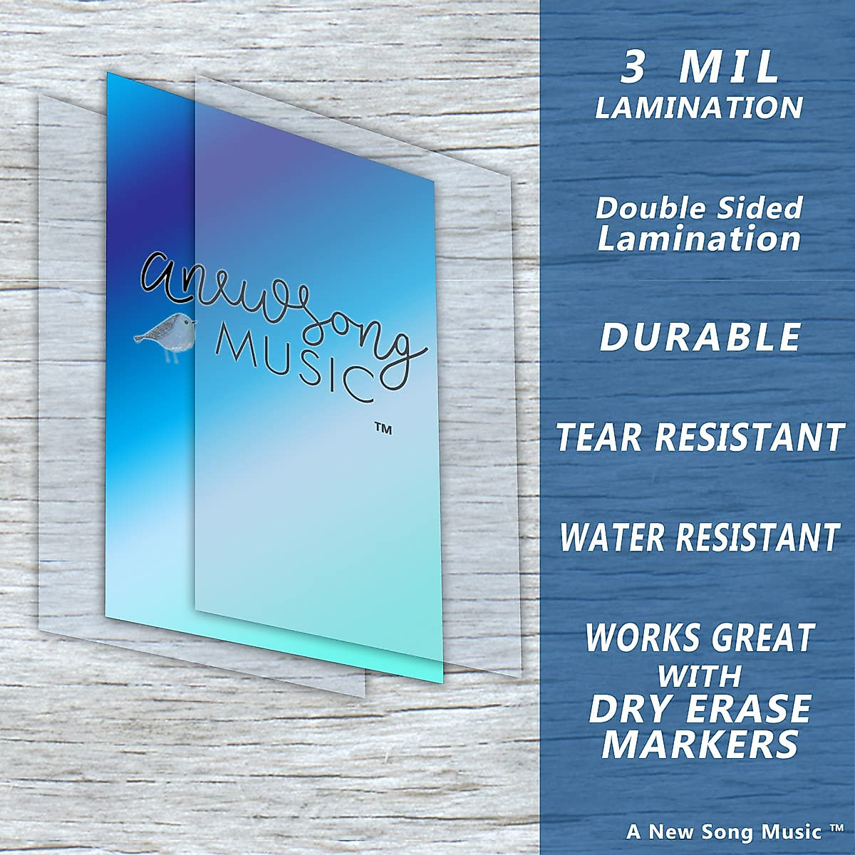 Laminated Mandolin Fretboard Notes & Easy Beginner Chord Chart 11"x17" Instructional Poster by A New Song Music