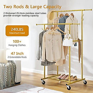 Gewudraw Double Rod Garment Rack, Heavy Duty Rolling Gold Clothes Rack with Wheels For Hanging Clothes,Portable Metal Clothing Rack with Shelves, 64.2inch Chrome