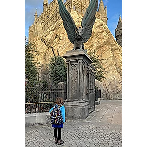 Harry Potter 16" Laptop Backpack Bag Hogwarts Crest All Over Print Cargo