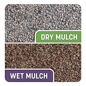 Pennington Smart Patch Dense Shade Mix Jug 5 lb