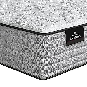 Kingsdown Passions Aspiration Plush Mattress, Queen