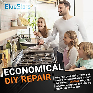 Ultra Durable WB2K101 Range Burner Grate Rubber Feet Kit Replacement by Blue Stars - Exact Fit for GE Kenmore Hotpoint Burner Grate - Replaces WB02K0101 247410 AP2622260 PS241358 - Pack of 20