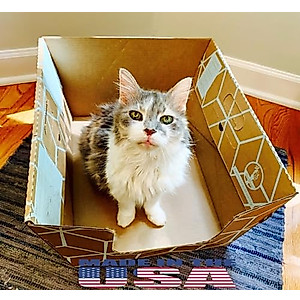 Cats Desire - 15 Trays, Disposable Litter Boxes for Cats - Litter Box, Fits Large Cats - Water Resistant Cat Litter Box - Made in USA, 19" L x17 W x 8.5" H - Enclosed Box