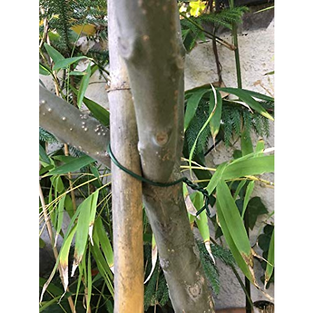 45M (147 Foot) Garden Wire Dark Green Coated Plant Twist Tie Garden Plant Training Wire