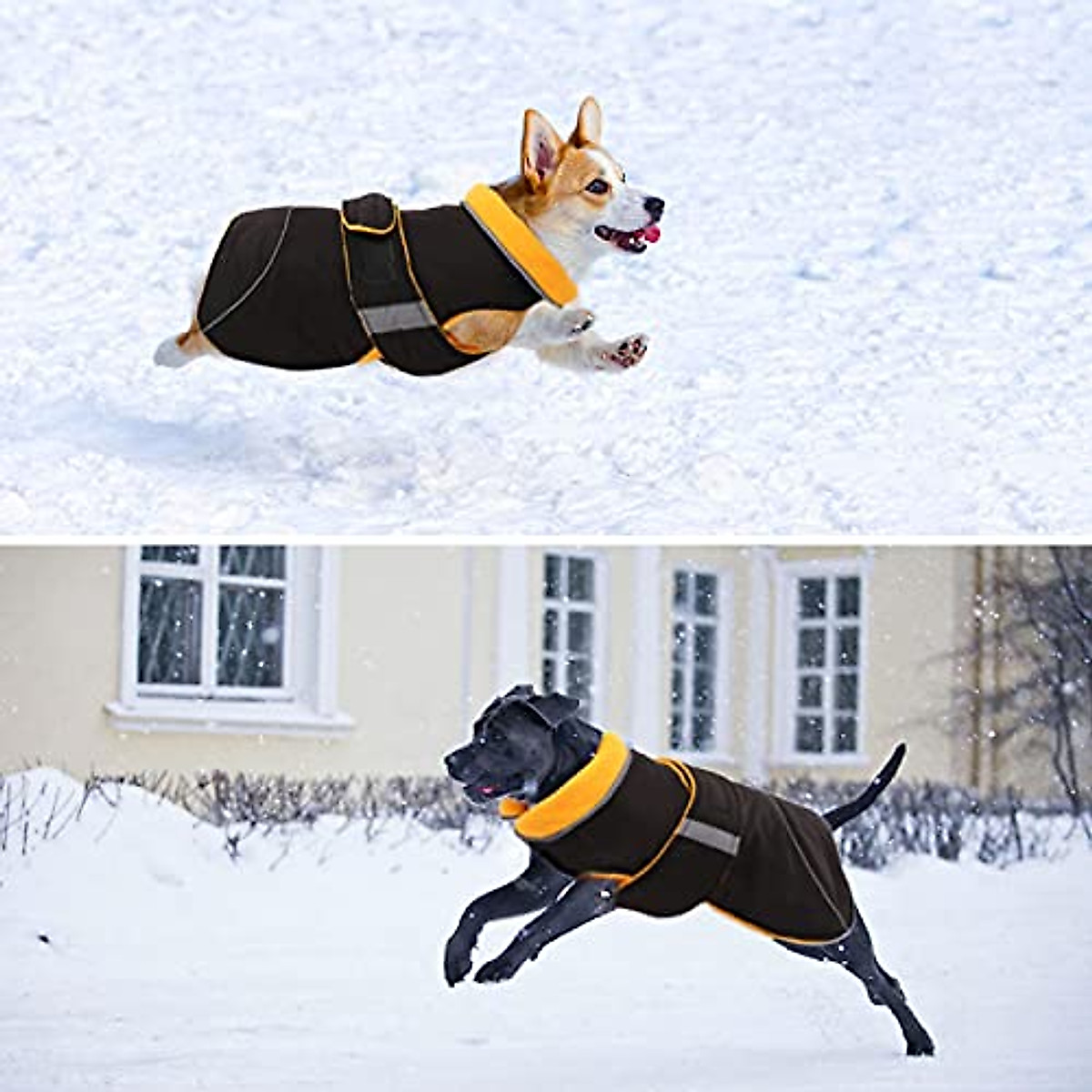 DENTERUN Winter Warm Dog Jacket Reflective Reversible Windproof Cozy Cold Weather Puppy Coat Water Repellent Vest Thick Fleece Apparel with Harness/Leash Hole for Outdoor Small Medium Large Dogs