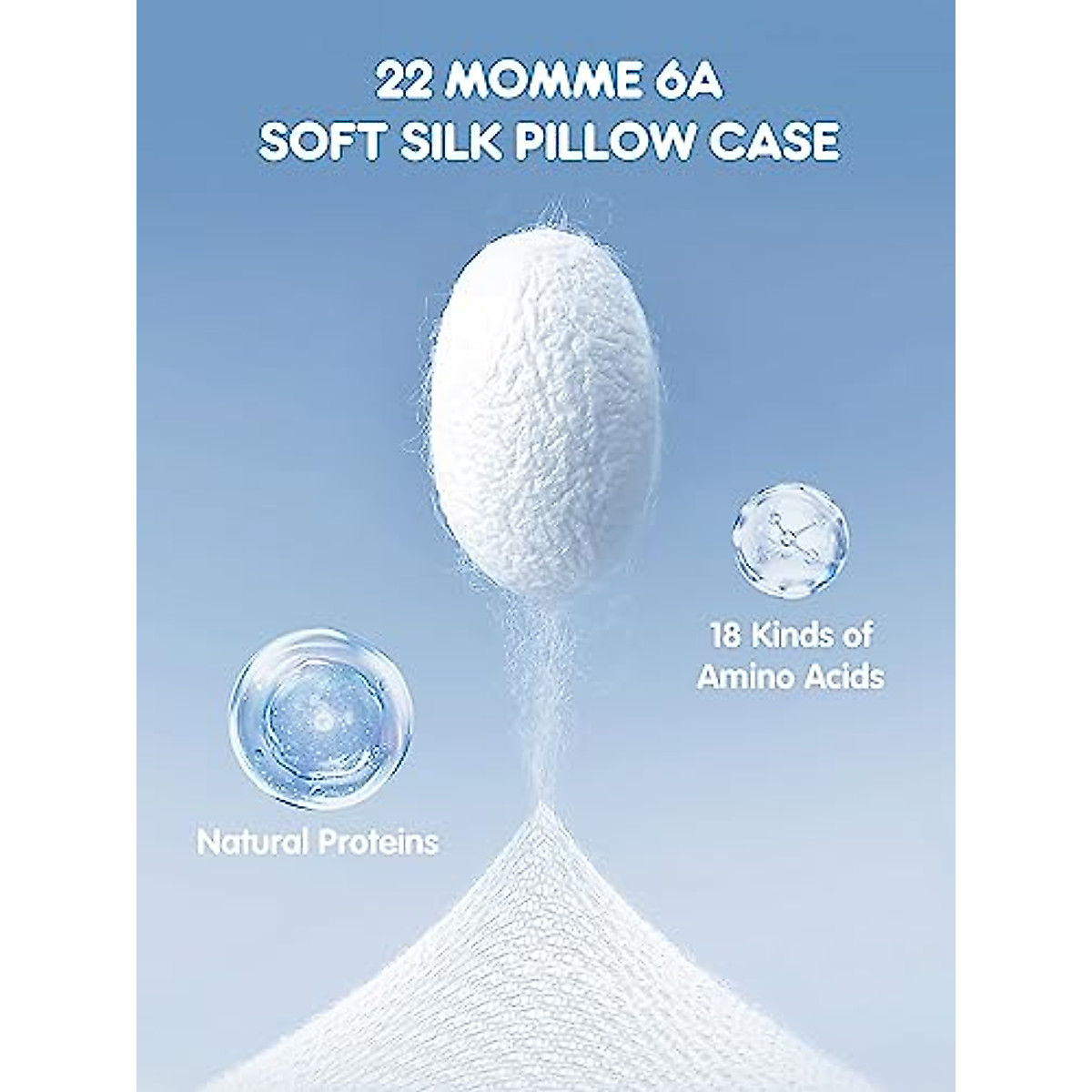 Mulberry Silk Pillowcase for Hair and Skin, SGMSILK 22 Momme Natural 6A Silk Pillow Case with Zipper Soft Texture, Single Sided Washable Pure Silk Pillow Cover(White, Standard 20"x26")