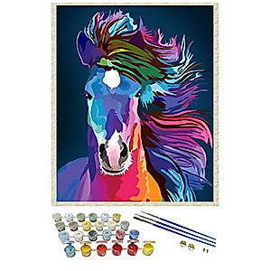 iCoostor Paint by Numbers DIY Acrylic Painting Kit for Kids & Adults Beginner - 16" x 20" Abstract Horse Pattern
