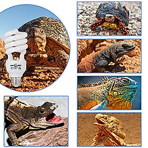 REPTIZOO Energy Saving Lamps UVB Bulb,Spiral Compact 26 Watts UVB 10.0 Reptile Light Bulb Fit for Desert Type Reptile/Snake/Lizard/Insect/Leopard Tortoise