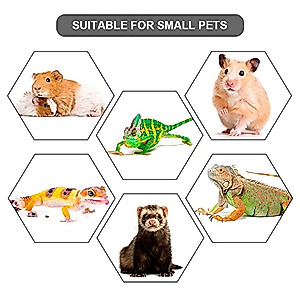 Bearded Dragon Leash, Adjustable Portable Reptile Leash with Cool Wings for Gecko, Bearded Dragon, Chameleon, Iguana, Hamster, Guinea Pig (S+M+L)