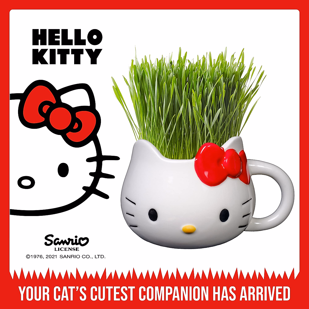 The Cat Ladies Hello Kitty Organic Cat Grass Growing kit with Organic Seed Mix, Soil and Hello Kitty Planter. Natural Hairball Control and Digestive Remedy,Cat Gifts