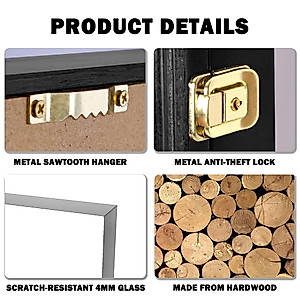 DisplayGifts Knife Display Case Pocket Knife Display Case for Wall Stand Military Folding Knife Shadow Box Knife Enthusiast Collectibles with 98% UV Protection Lockable Black Finish