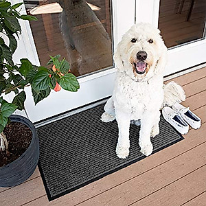 Notrax 109 Brush Step Carpeted Entrance Mat for Home or Office, 3' X 5', Charcoal, 109S0035CH