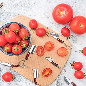 Damascus Mini Knife Set with Sheath, Kitchen Tiny knife set Pocket keychain knife Utility Tiny Chef knives for Package Opener Box Cutter Bottle Opener - Set of 6