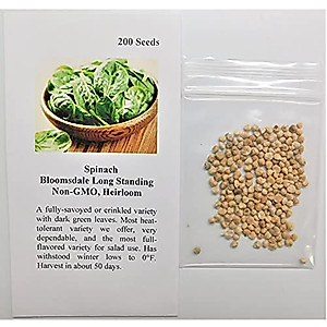 David's Garden Seeds Spinach Bloomsdale Long Standing FBA-6711 (Green) 200 Non-GMO, Heirloom Seeds