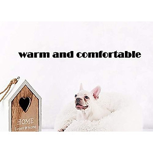 BODISEINT Modern Soft Plush Round Pet Bed for Cats or Small Dogs, Mini Medium Sized Dog Cat Bed Self Warming Autumn Winter Indoor Snooze Sleeping Cozy Kitty Teddy Kennel (24'' D x 8'' H, Dark Grey)