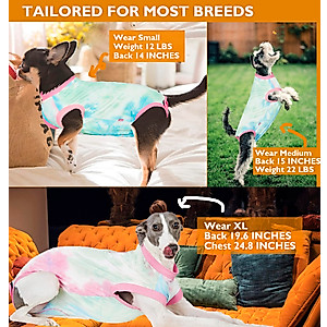 Wabdhally Dog Surgery Recovery Suit,Surgical Suit for Large Female Spay,Soft Combed Cotton,Tie Dye Pink Zipper Onesie XXL