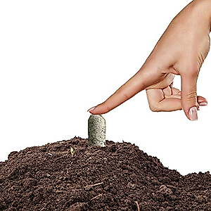 Jobe's 06127 Herb Fertilizer, 50 Spikes, Tan