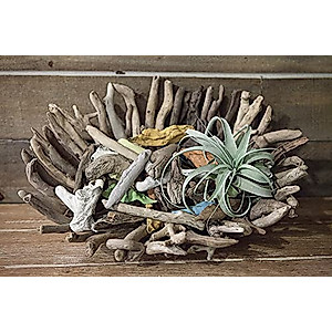Creative Co-Op Driftwood Tray