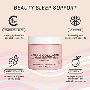 Pacifica Vegan Collagen Overnight Recovery Cream 1.7 oz