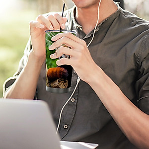 ZAQERFZ 20 Oz Insulated Tumblers Travel Mug With Lid Red Panda Stainless Steel Double Wall Vacuum Coffee Cup Gifts For Men Women Boys Girls