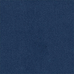 Lexicon Holleman Fabric Upholstered Love Seat in Blue Color