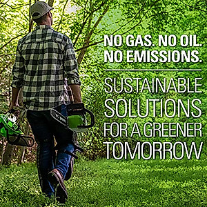 Greenworks 40V 16-inch Brushless Chainsaw, Tool Only, CS40L02