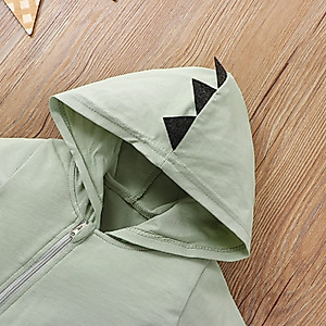 CBNRLOPOP Infant Newborn Baby Boys Girls Dinosaur Halloween Christmas Hoodie Romper Onesie Jumpsuit Outfits(Green, 3-6Months)