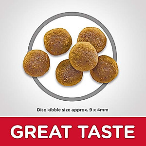 Hill's Science Diet Dry Cat Food, Adult, Chicken Recipe, 7 lb. Bag