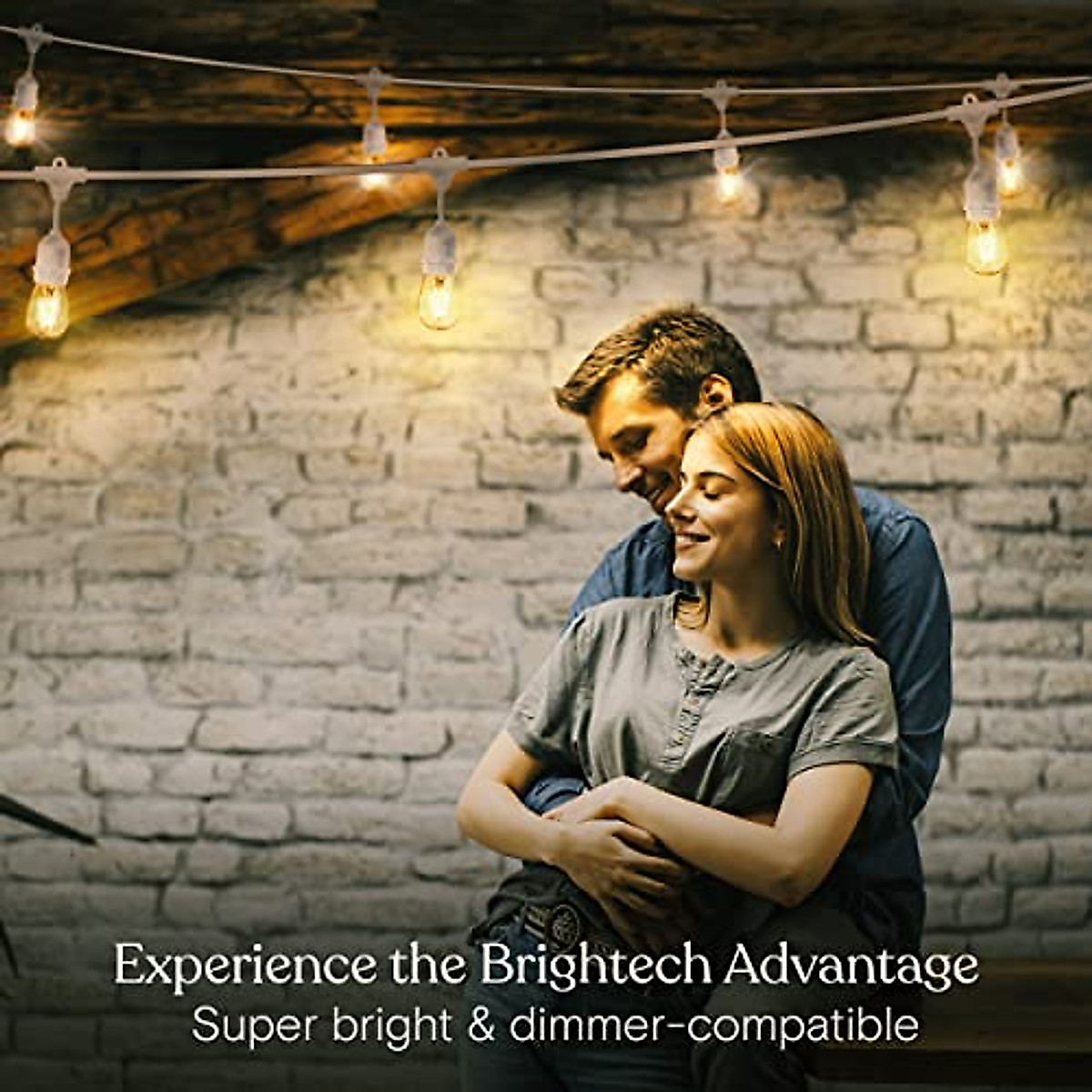 Brightech Ambience Pro - Waterproof LED Outdoor String Lights - Hanging, Dimmable Vintage Edison Bulbs, 48 Ft Commercial Grade Patio Lights Create Cafe Christmas Ambience In Your Backyard, 15 Bulbs 2W