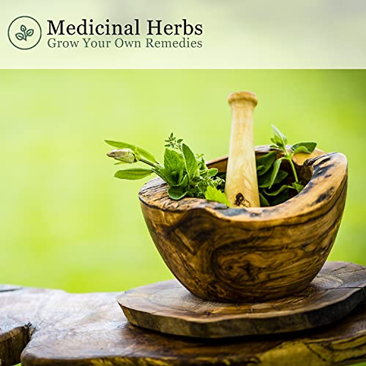 Sow Right Seeds - Medicinal Herb Seed Collection for Planting - Roman Chamomile, Echinacea, Lavender, White Sage, Marjoram & Hyssop - Non-GMO Heirloom Seed - Perfect for a Herb Garden - Gardening Gift