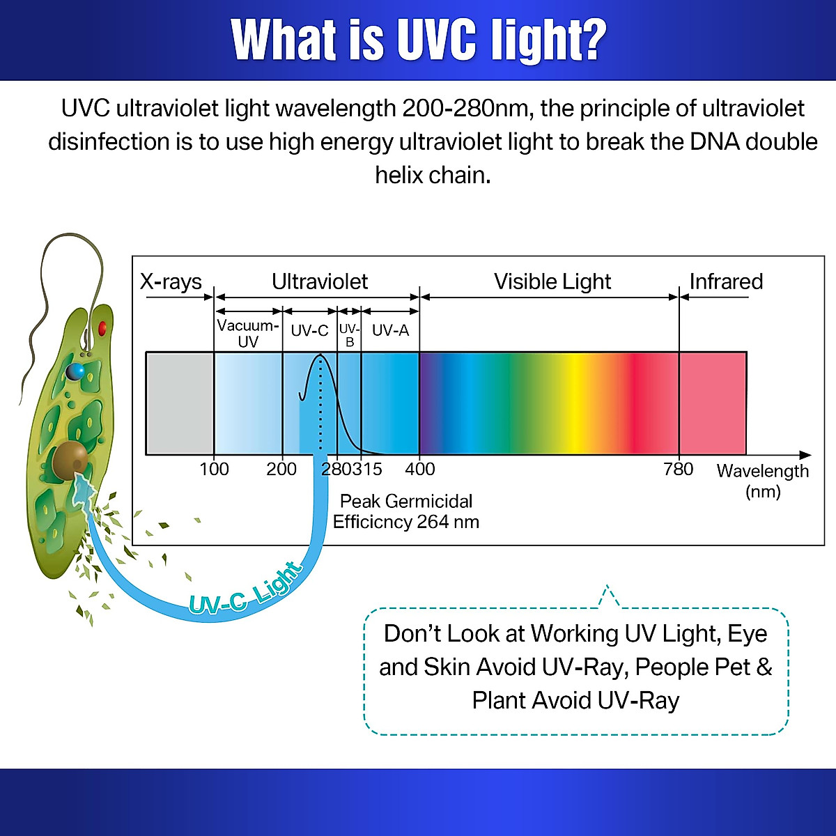 Qualirey 2 Pack UV Germicidal Light Bulb with Ozone, 25 Watt Replacement UVC Lamp E27 110V, UV Disinfection Light Bulb for Basement Bedroom Kitchen to Kill Germs, Bacteria, Kill Mites