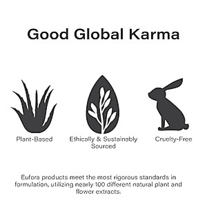 Eufora Elevate Firm Workable Finishing Spray, 10 Oz (Pack of 2)