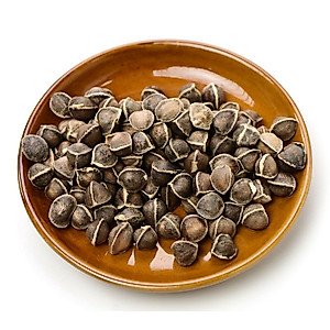 Moringa Seeds Wingless 1 lb. Wide Mouth JAR - PKM1 Variety - Edible Snacking - Planting - Moringa Oleifera - Malunggay - Semillas De Moringa - Drumstick Tree - Non-GMO - 1600 to 2000 Seeds