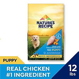 Nature’s Recipe Grain Free Chicken, Sweet Potato & Pumpkin Recipe, Dry Puppy Food, 12 Pounds (Packaging May Vary)
